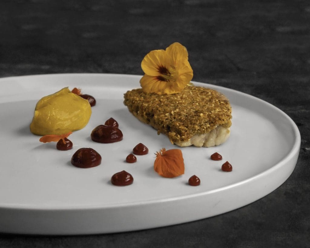 Pumpkin Seed Crusted Snapper with Curry Pumpkin Puree and Hibiscus ...