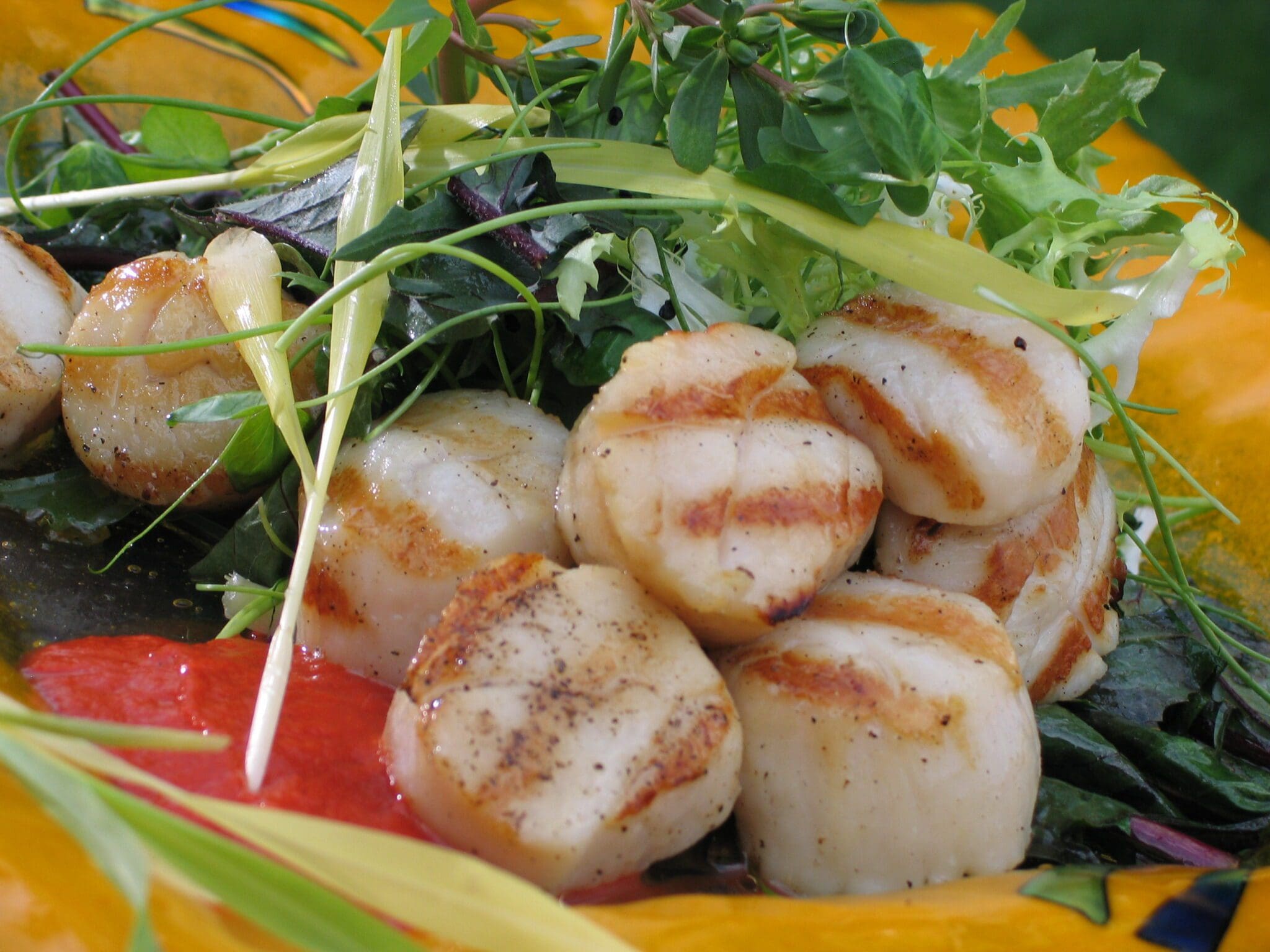 Grilled Scallops with Roast Red Pepper Sauce - Gusto TV