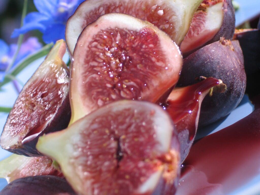 Port Marinated Grilled Figs - Gusto TV