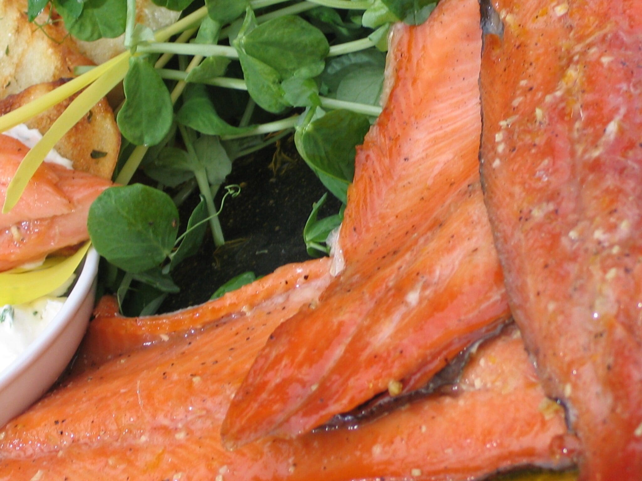 Maple Syrup Smoked Trout - Gusto TV